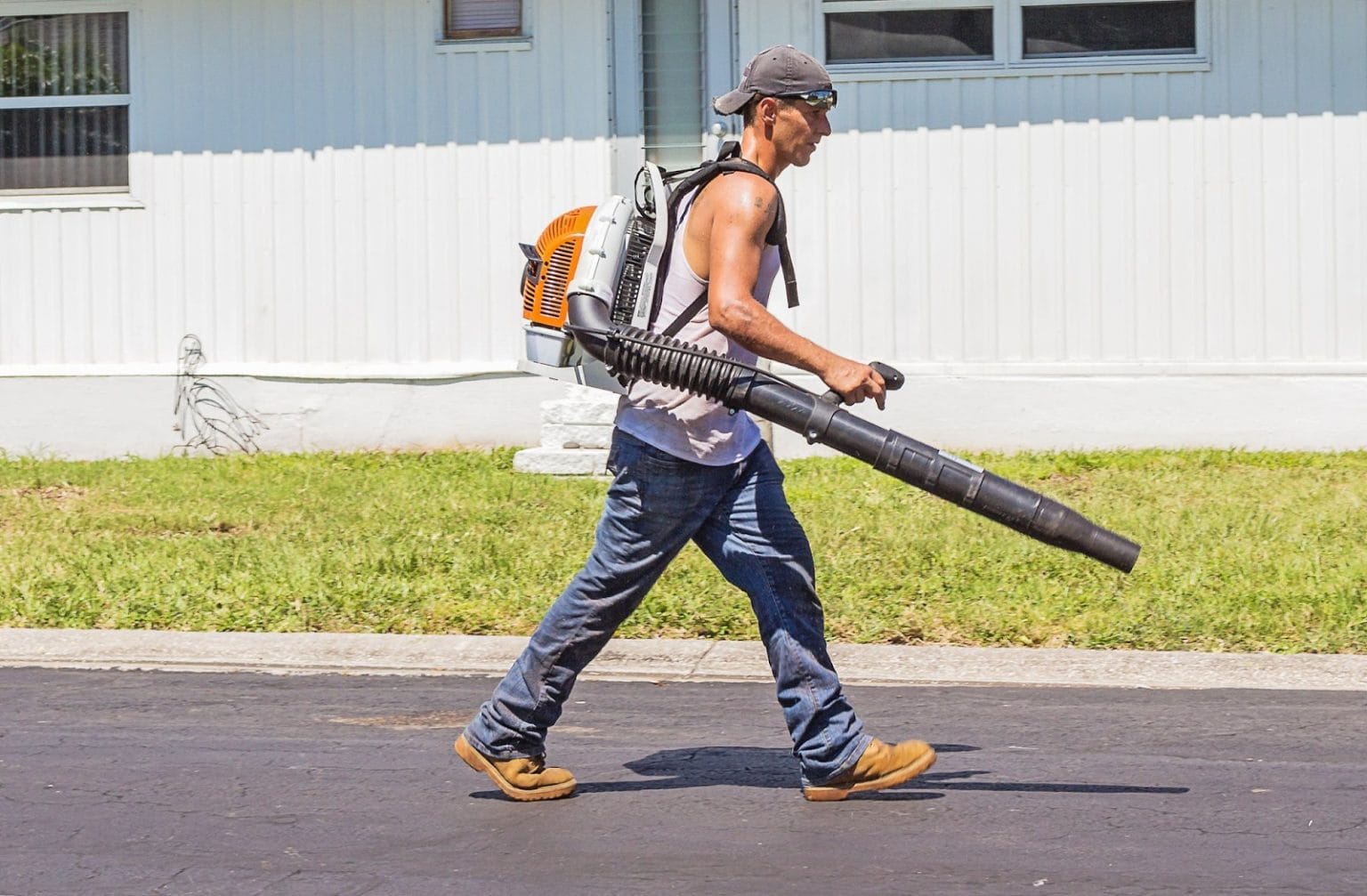Best Backpack Leaf Blowers: Reviews & Buying Guide - 2025
