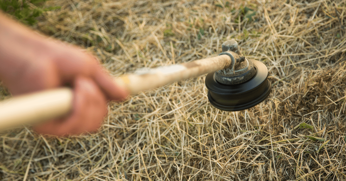 The 5 Best Weed Eaters in 2026