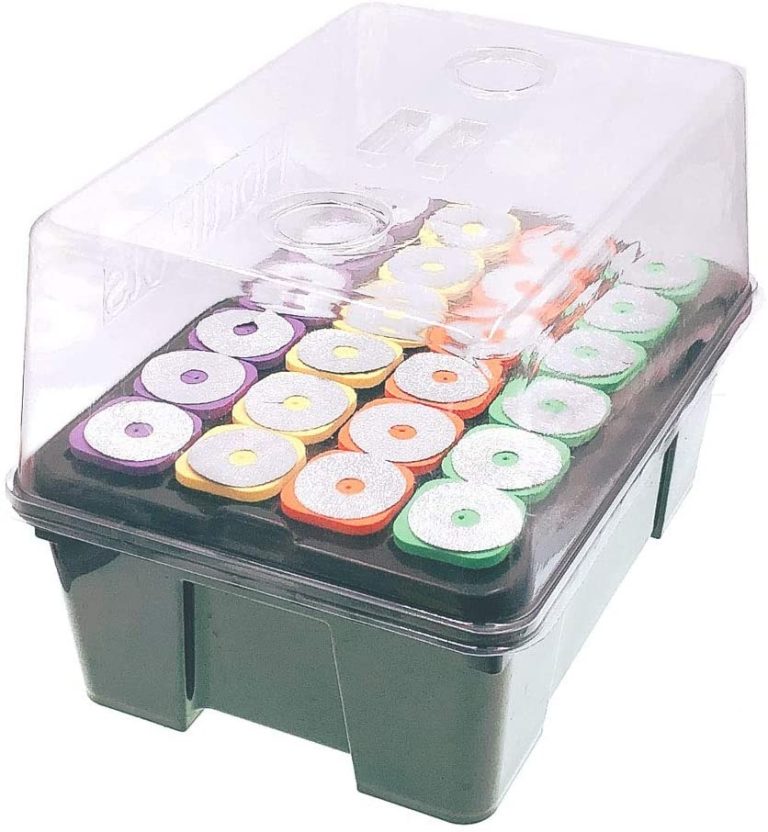 7 Best Cloning Machines - 2025 Update & Reviews