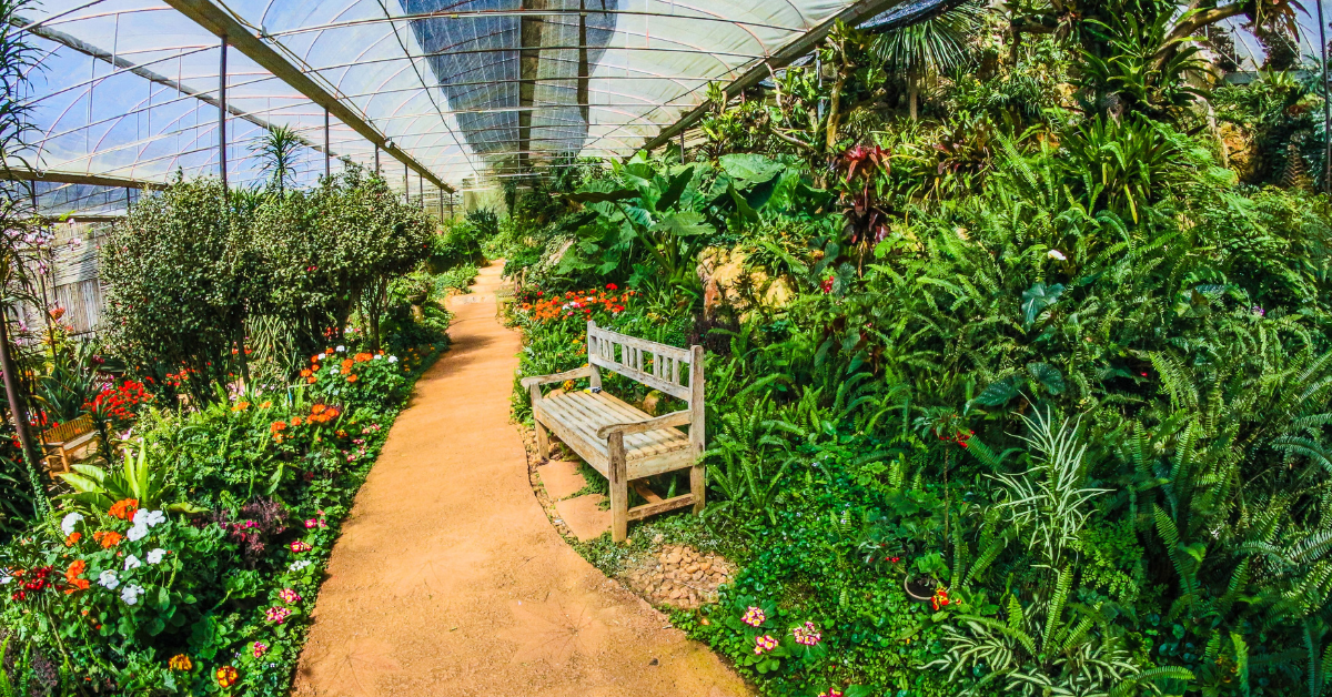 ERV vs. HRV - What's The Difference in 2025?