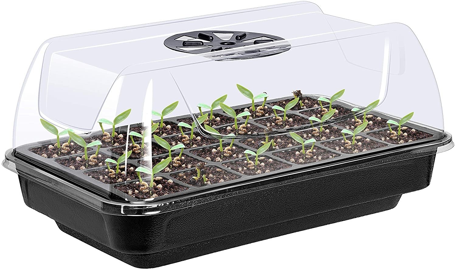 7 Best Cloning Machines - 2025 Update & Reviews