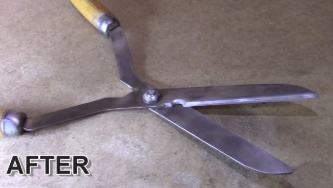 How to Sharpen Grass Shears - The Filter Master