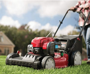 Troy Bilt TB230 Review - The Filter Master